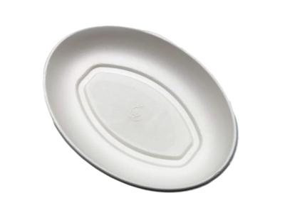 China Oval 262.5x197x20.1mm Biodegradable Sugarcane Bagasse Plates for sale