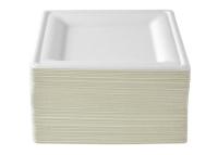 China 10 Inch Square Dessert Sugarcane Biodegradable Plates for sale