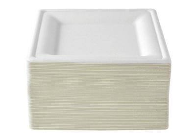 China 10 Inch Square Dessert Sugarcane Biodegradable Plates for sale