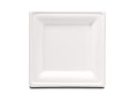 China 10 Inch Square Dessert Sugarcane Biodegradable Plates for sale
