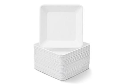 China 10 Inch Salad  Square Sugarcane Bagasse Tableware for sale