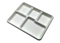 China School Bagasse Biodegradable Food Trays 260x210x24mm for sale