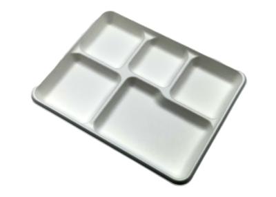 China School Bagasse Biodegradable Food Trays 260x210x24mm for sale
