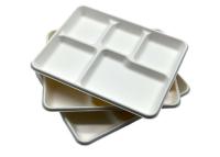 China School Bagasse Biodegradable Food Trays 260x210x24mm for sale
