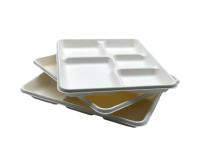 China School Bagasse Biodegradable Food Trays 260x210x24mm for sale