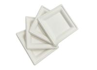 China 100% Compostable 6 Inch 10g Sugarcane Waste Plates for sale