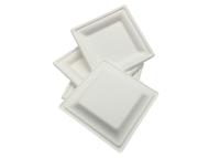 China 100% Compostable 6 Inch 10g Sugarcane Waste Plates for sale