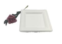 China 100% Compostable 6 Inch 10g Sugarcane Waste Plates for sale