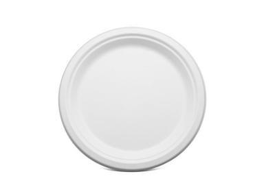 China 6 Inch 6g Disposable Bagasse Bio Food Packaging for sale