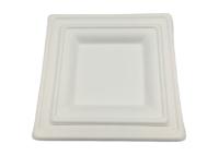 China 8 Inch Square Biodegradable Sugarcane Bagasse Plates for sale