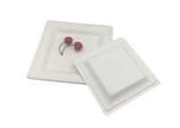 China 8 Inch Square Biodegradable Sugarcane Bagasse Plates for sale