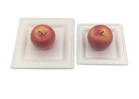 China 8 Inch Square Biodegradable Sugarcane Bagasse Plates for sale