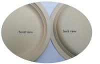 China 10 Inch 17g Eco Friendly Sugarcane Paper Plates for sale