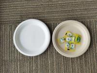China 100% Compostable 8.75 Inches Natural, Biodegradable Food Plate For Food And Vegetables for sale