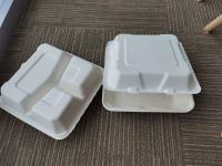 China 9inch biodegradable disposable clamsell cardboard box 3 compartment fast food takeout packaging box for restaurant for sale