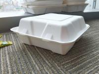 China Biodegradable compostable bagasse 8inch compartment lunch paper boxes for fast food for restaurant and party use for sale