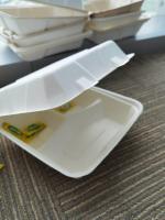 China Biodegradable compostable bagasse 8inch compartment lunch paper boxes for fast food for restaurant and party use for sale