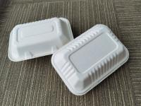 China 9×6 Inch Biodegradable To Go Food Containers for sale