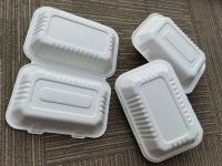 China 9×6 Inch Biodegradable To Go Food Containers for sale