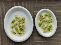 China 10 / 12 Inch Oval  Restaurant Nature Bagasse Paper Plates for sale