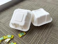 China 20g Bio Food Packaging, Bagasse Food container , Bio takeaway container for sale