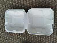China 20g Bio Food Packaging, Bagasse Food container , Bio takeaway container for sale