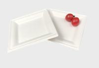 China Disposable Dinnerware 10 Inch Square Sugarcane Pulp Plates for sale