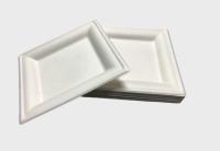 China Disposable Dinnerware 10 Inch Square Sugarcane Pulp Plates for sale