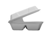 China 8 Inch 3 Compartment Plant Fiber Biodegradable Takeout Containers for sale