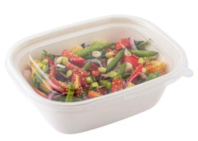 China Oilproof Meal  Bento 27g 48oz Biodegradable Salad Boxes for sale