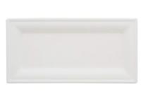 China 10x5 Inch Oilproof Biodegradable Sugarcane Bagasse Plates for sale