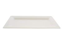 China 10x5 Inch Oilproof Biodegradable Sugarcane Bagasse Plates for sale