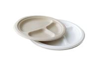 China 10inch disposable dinner compartment plates biodegradable sugarcane bagasse for restaurant and party use for sale