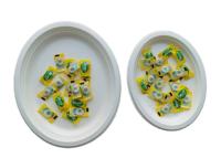China 10 / 12 Inch Oval  Restaurant Nature Bagasse Paper Plates for sale