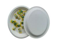 China 10 / 12 Inch Oval  Restaurant Nature Bagasse Paper Plates for sale
