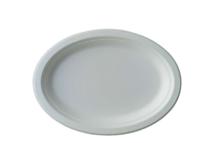 China 10 Inch 17g Eco Friendly Sugarcane Paper Plates for sale