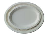 China 10 Inch 17g Eco Friendly Sugarcane Paper Plates for sale