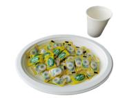 China 12 Inch  Oval Dinner Biodegradable Sugarcane Bagasse Plates for sale