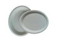 China 12 Inch  Oval Dinner Biodegradable Sugarcane Bagasse Plates for sale