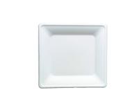 China 10 Inch 30g Kitchen Dinnerware Bio Food Packaging for sale