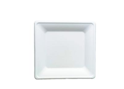 China 10 Inch 30g Kitchen Dinnerware Bio Food Packaging for sale