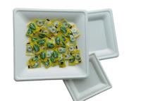 China 10 Inch 30g Kitchen Dinnerware Bio Food Packaging for sale