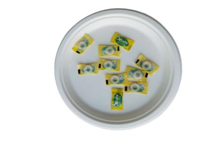 China 10 Inch  Round Compostable Bagasse Disposable Plates for sale