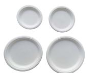 China 10 Inch  Round Compostable Bagasse Disposable Plates for sale
