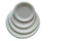 China 10 Inch  Round Compostable Bagasse Disposable Plates for sale