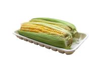 China Compostable 21.6g  Catering Microwavable Cornstarch Trays for sale
