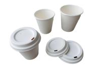 China Sugarcane 12oz 350ml Biodegradable Cups And Lids for sale
