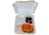 China Biodegradable compostable bagasse 8inch compartment lunch paper boxes for fast food for restaurant and party use for sale