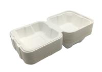 China 6 Inch Sugarcane Eco Hinged  Biodegradable Takeout Containers for sale