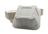 China 6 Inch Sugarcane Eco Hinged  Biodegradable Takeout Containers for sale